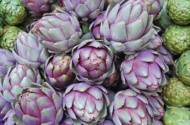 12 perennial vegetables for a low-maintenance allotment - H is for Home