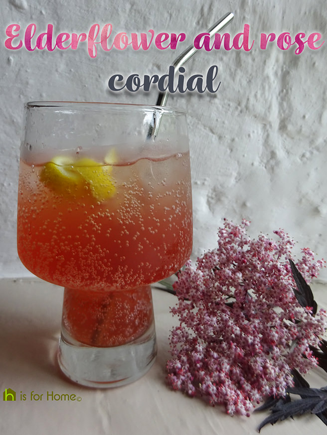 Elderflower and rose cordial - H is for Home Harbinger