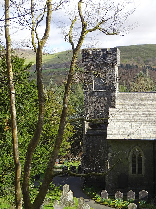 An afternoon walk around the Hafod Estate - H is for Home Harbinger