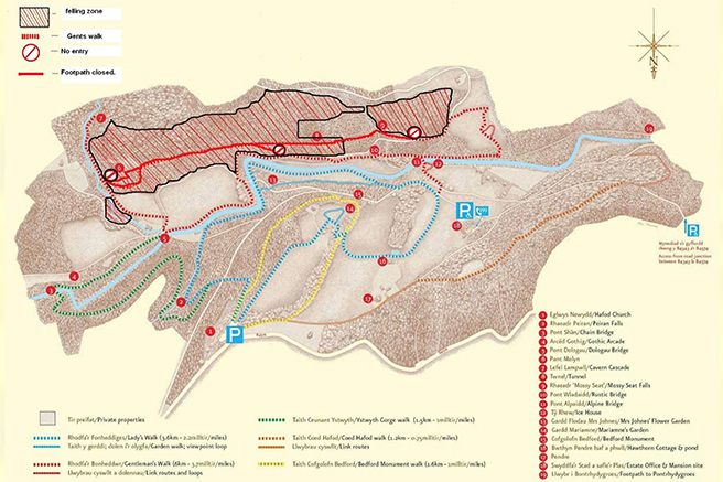 An afternoon walk around the Hafod Estate - H is for Home Harbinger