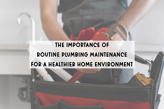 Routine plumbing maintenance for a healthier home environment