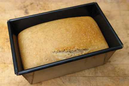 Use your loaf - H is for Home Harbinger